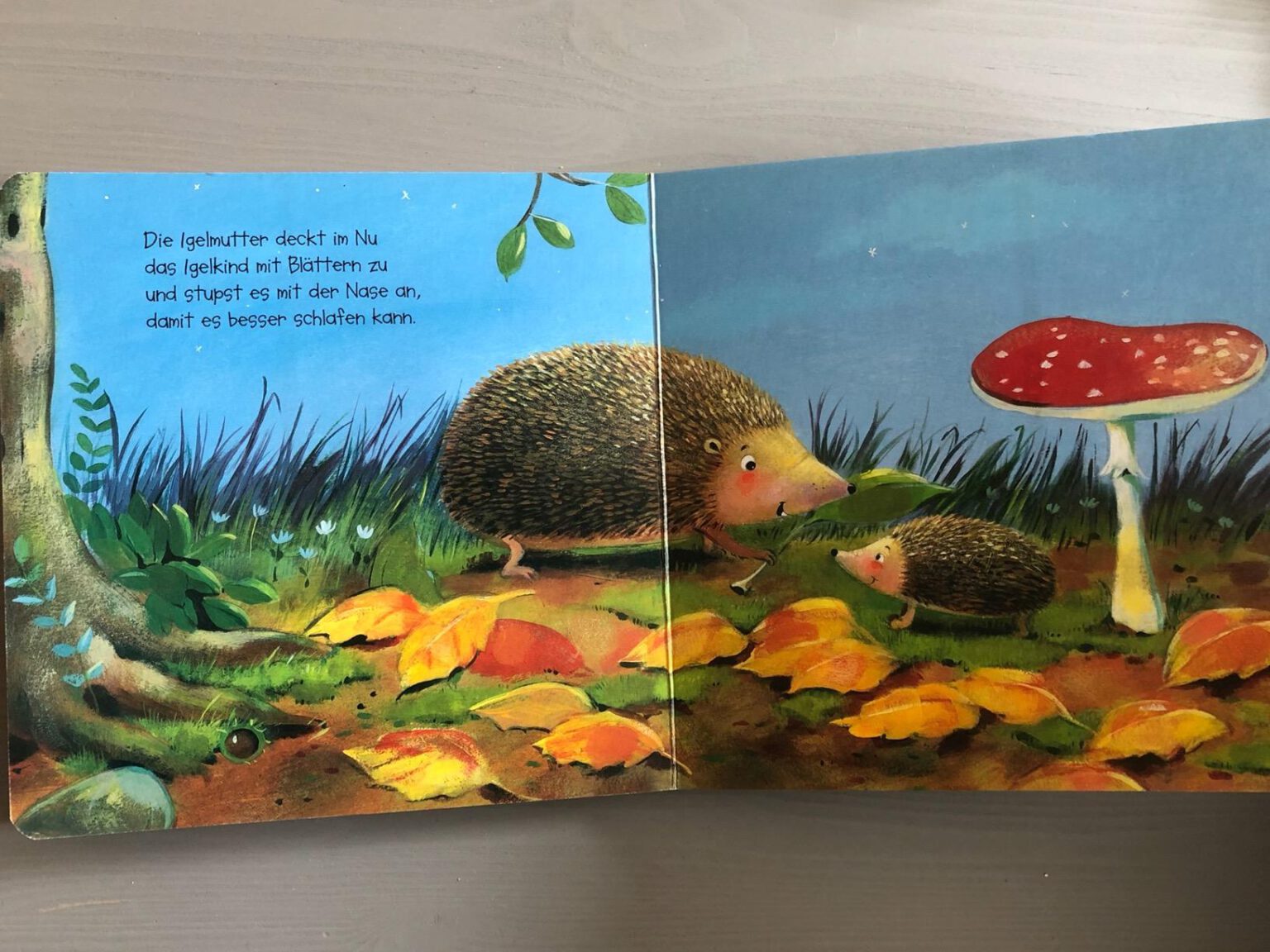 Pädagogisch wertvolle Kinderbücher ab 2 Jahren